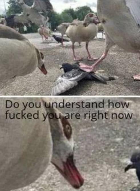 Wrong place wrong time - 9GAG