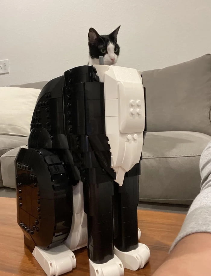 Kitty gearing up in power armor suit ready to fight for the Empire!! - 9GAG
