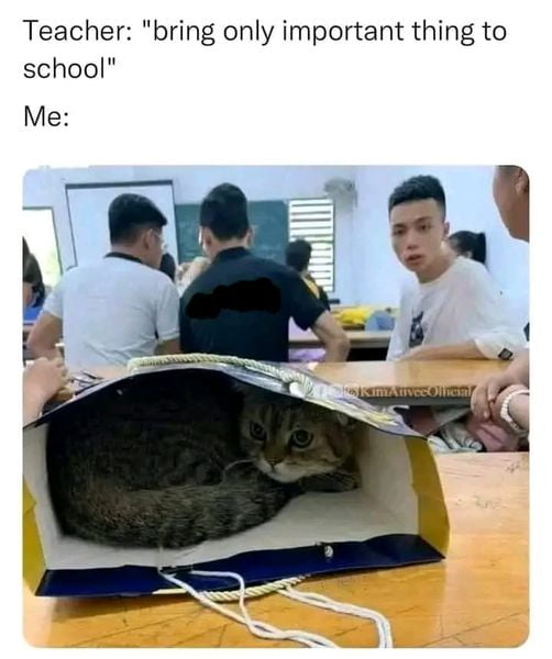 Important enough - 9GAG