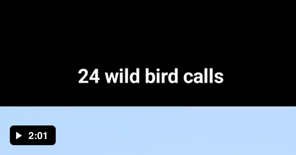 Take a 2 minute break - 9GAG