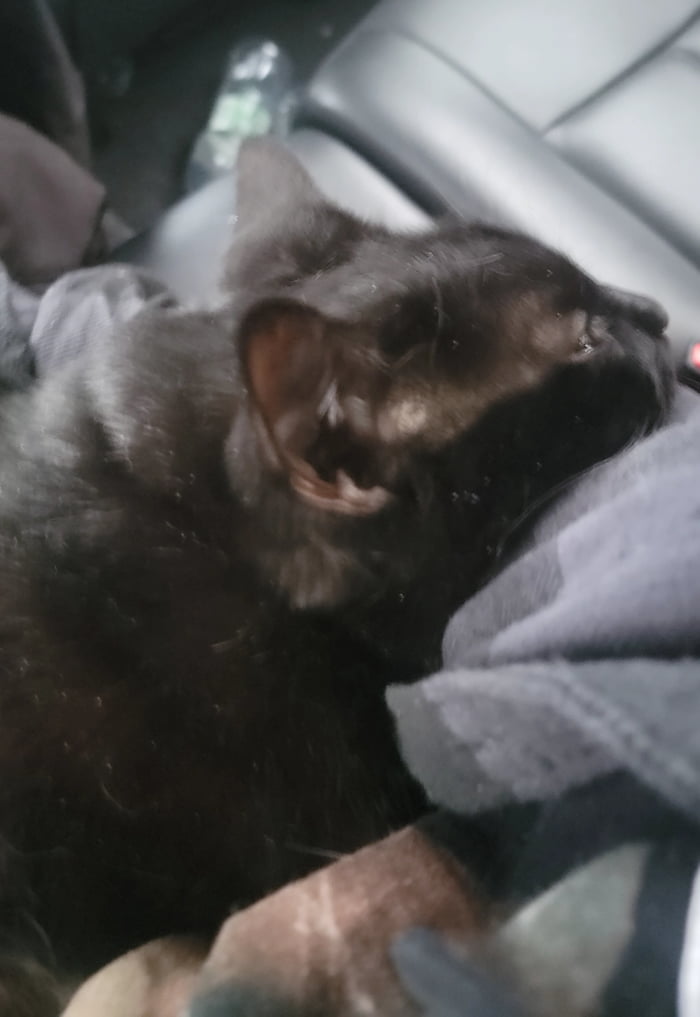 Losing him is so unexpected and devastating - 9GAG