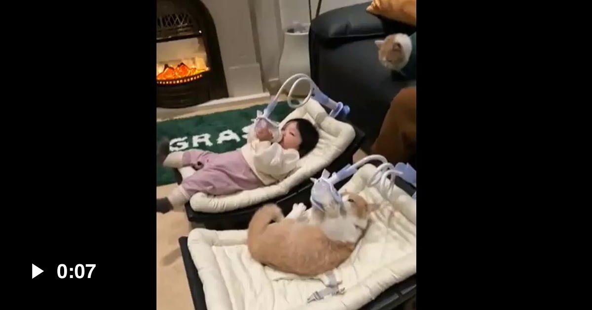 The only way to keep the crime rate down....... - 9GAG