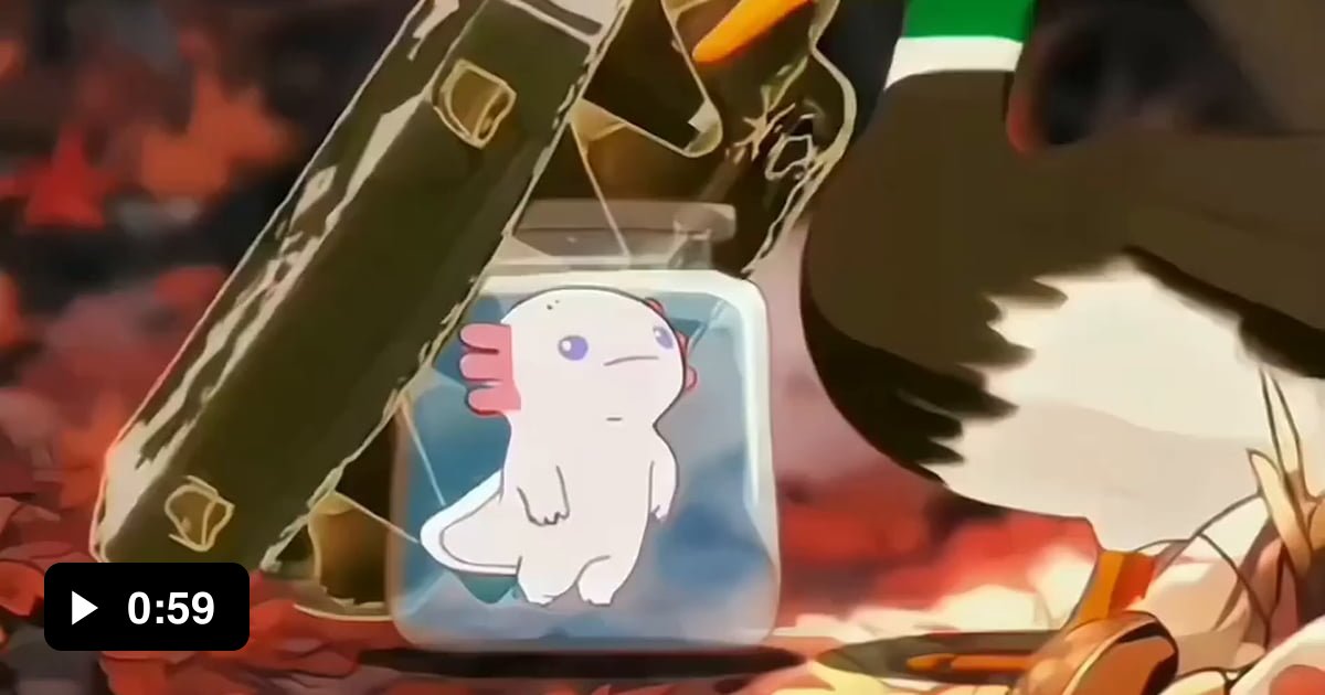 This animation about a gecko and axolotl. - 9GAG