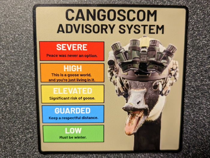 Honker 3, going dark. - 9GAG