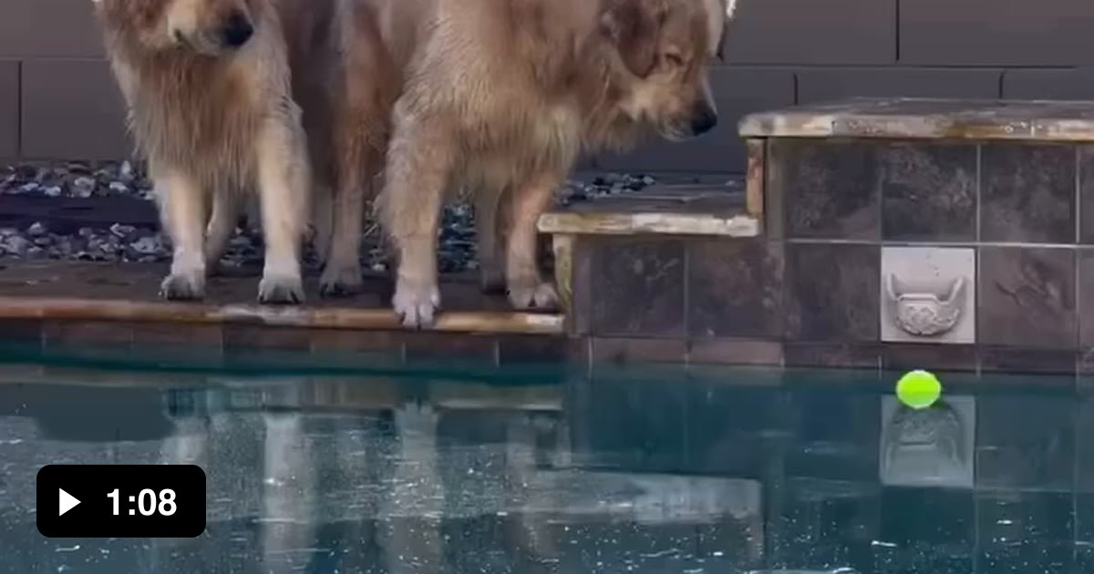 Good things come to good boys, LMAO - 9GAG