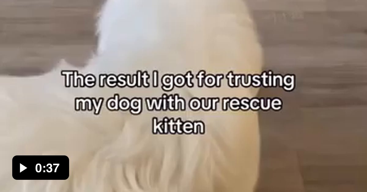 Best buds for life ️ - 9GAG