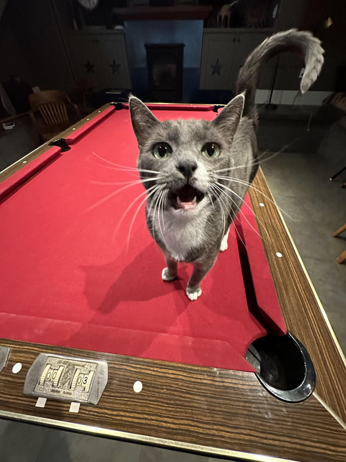 Leo wants me to rack 'em... - 9GAG