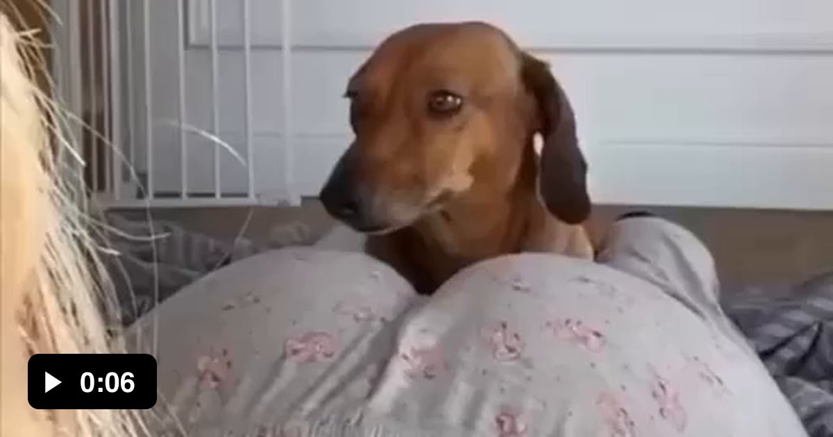 Bum Bum Bum Bum - 9GAG