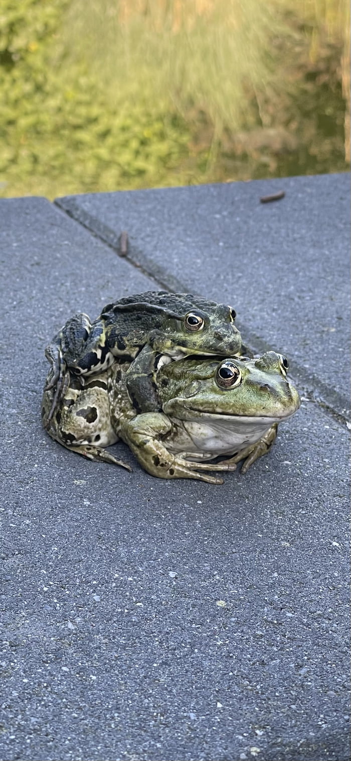 It’s Wednesday my dudes. - 9GAG