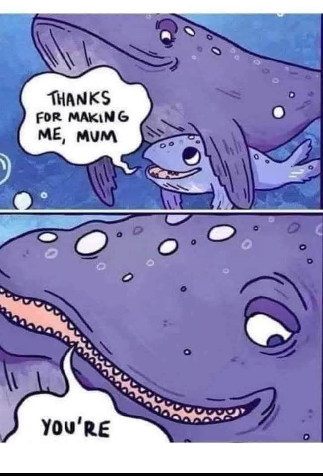 Whale c-----mmmm. - 9GAG