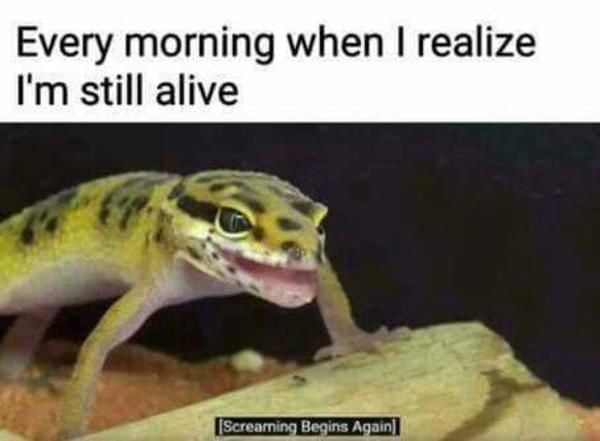 Screaming intensifies - 9GAG