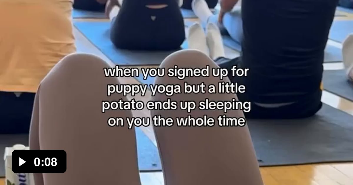 Puppy Snoozes During Yoga! - 9GAG