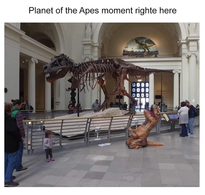 Get your hands off of me you dang dirty apes! - 9GAG