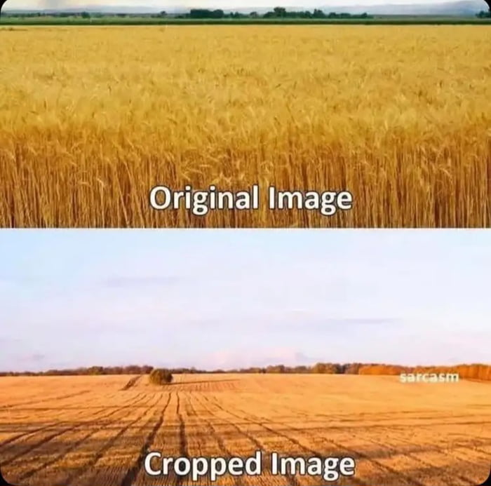 Finally a nice crop - 9GAG