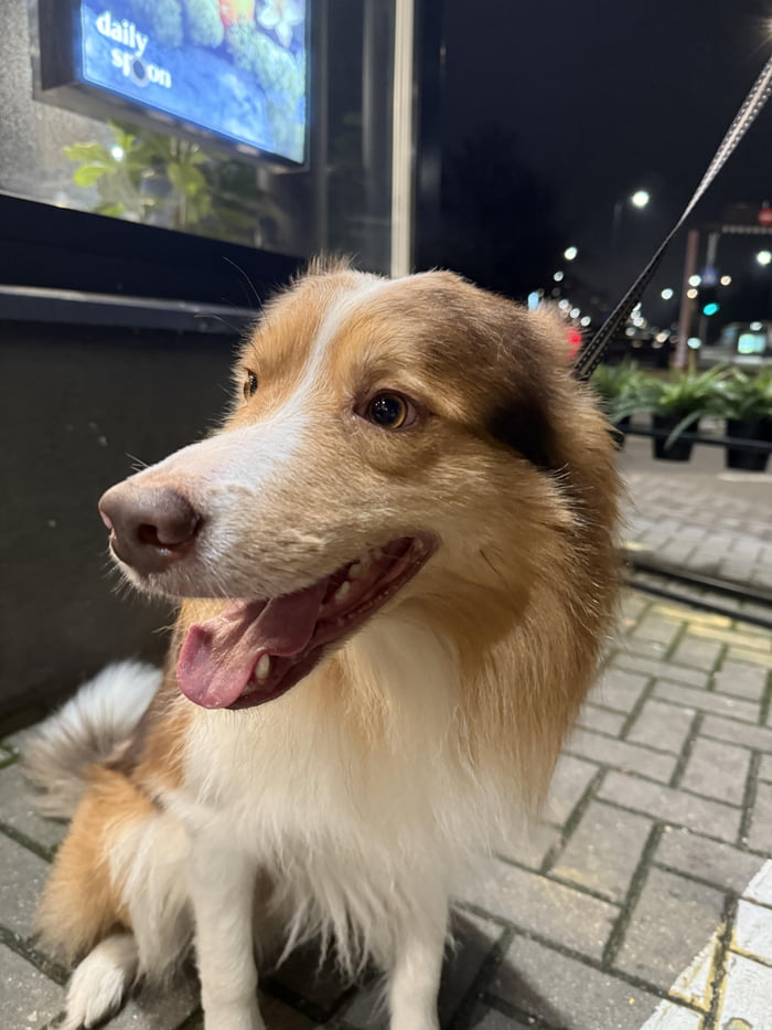 Such a cute smiley face - 9GAG