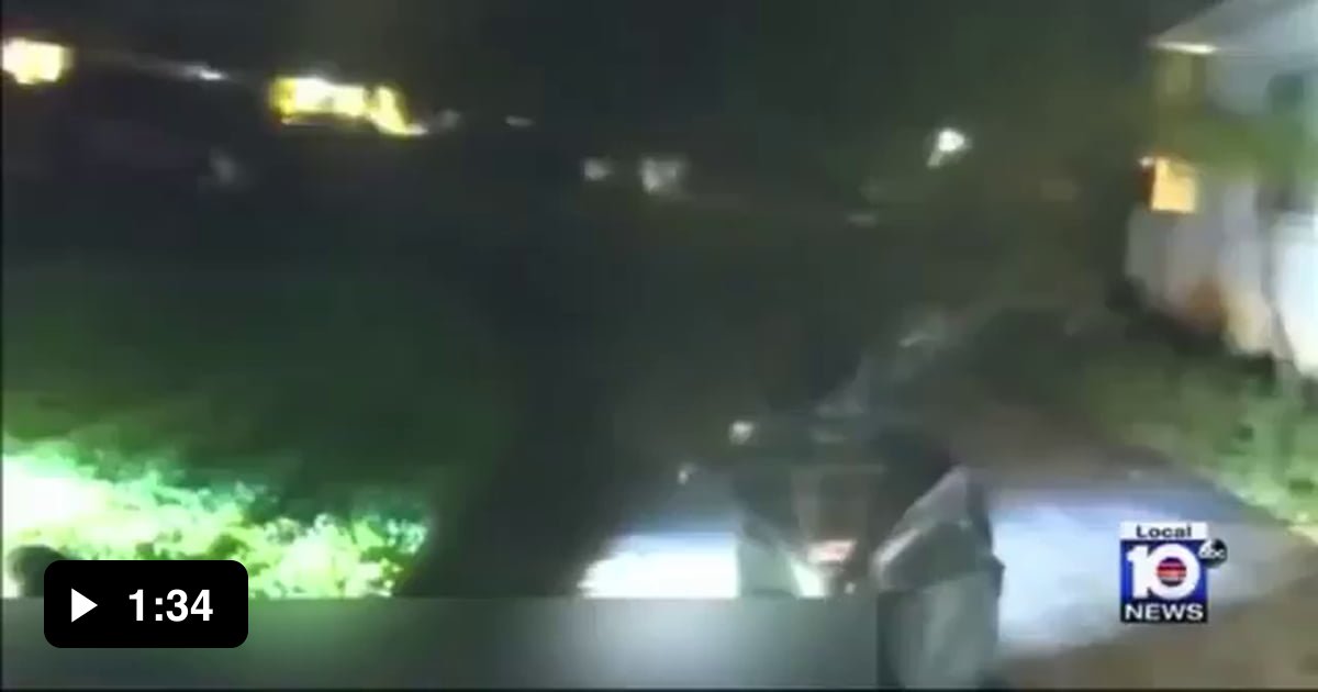 The 19 year old son of Israeli diplomat Eli Gil deliberately ran over a ...