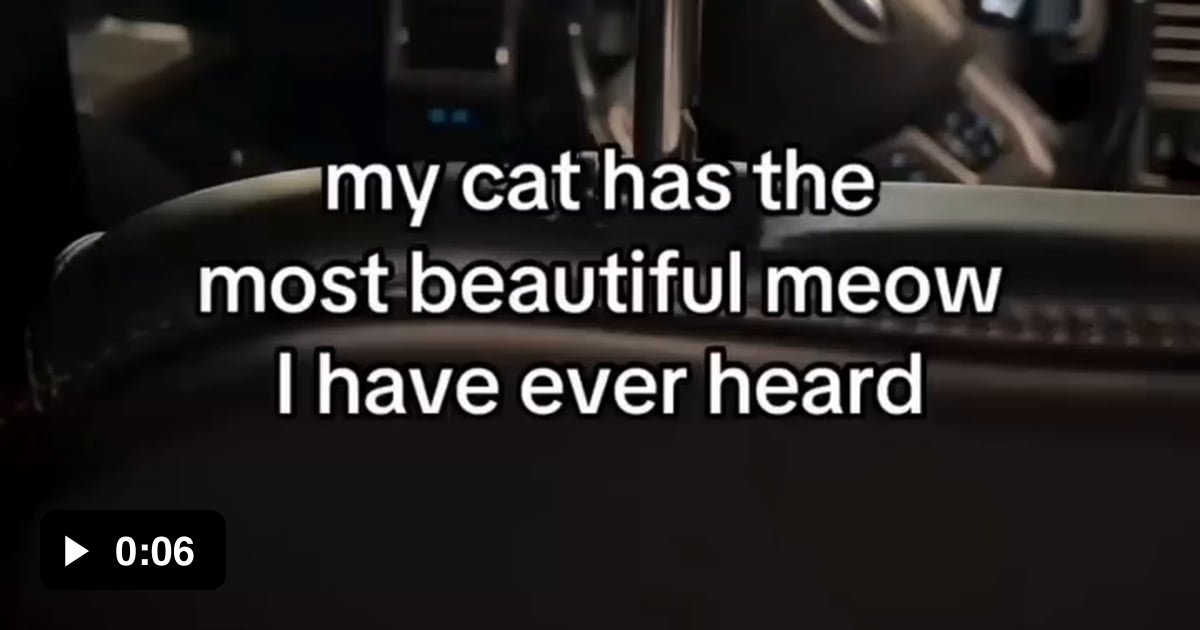 I go meow - 9GAG