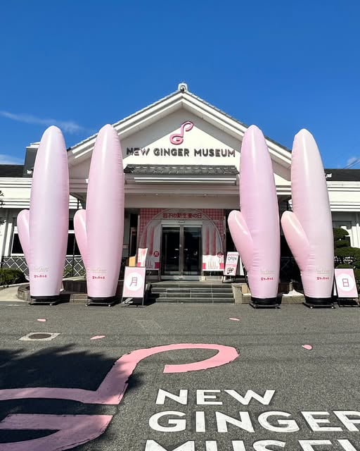Japan's ginger museum and its dancing mascots - 9GAG