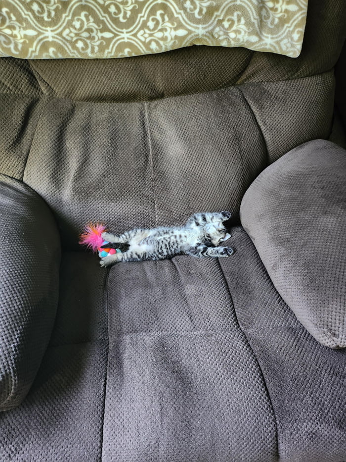 Little Sweet Pea is just so tired - 9GAG