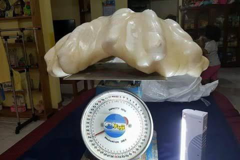 A Fisherman Found the World’s Largest Pearl and Kept It Under His Bed ...