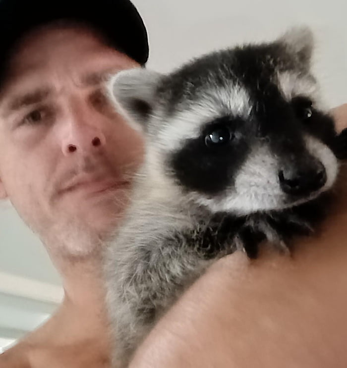 Surprise Home Invasion - 9GAG