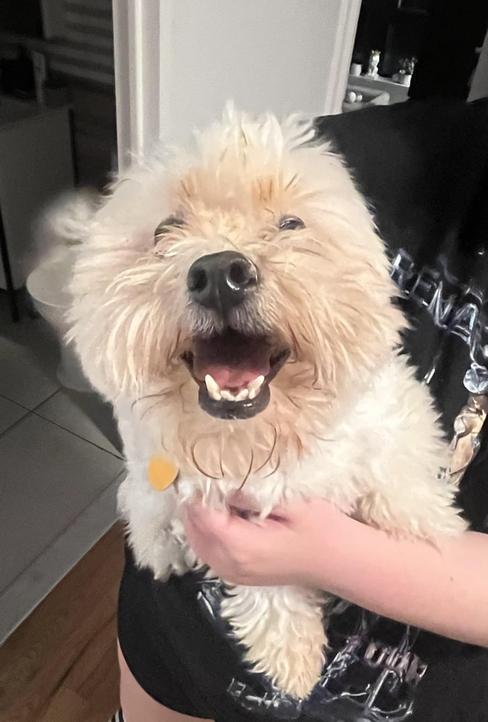 *Sigh*, he really does love makeup. - 9GAG