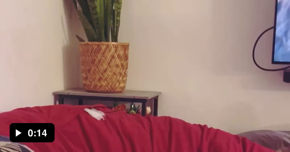 🔉 she wasn’t comfy :( - 9GAG