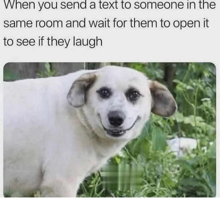 No need for caption - 9GAG