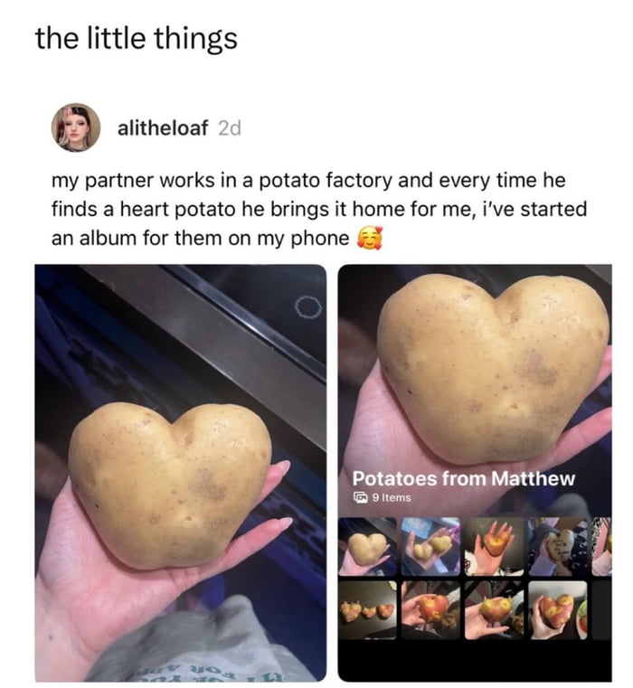 Relationship goals: collecting heart-shaped potatoes - 9GAG