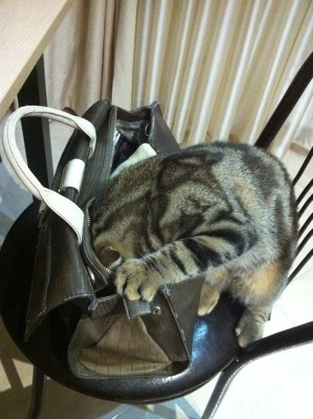 Customs inspection - 9GAG