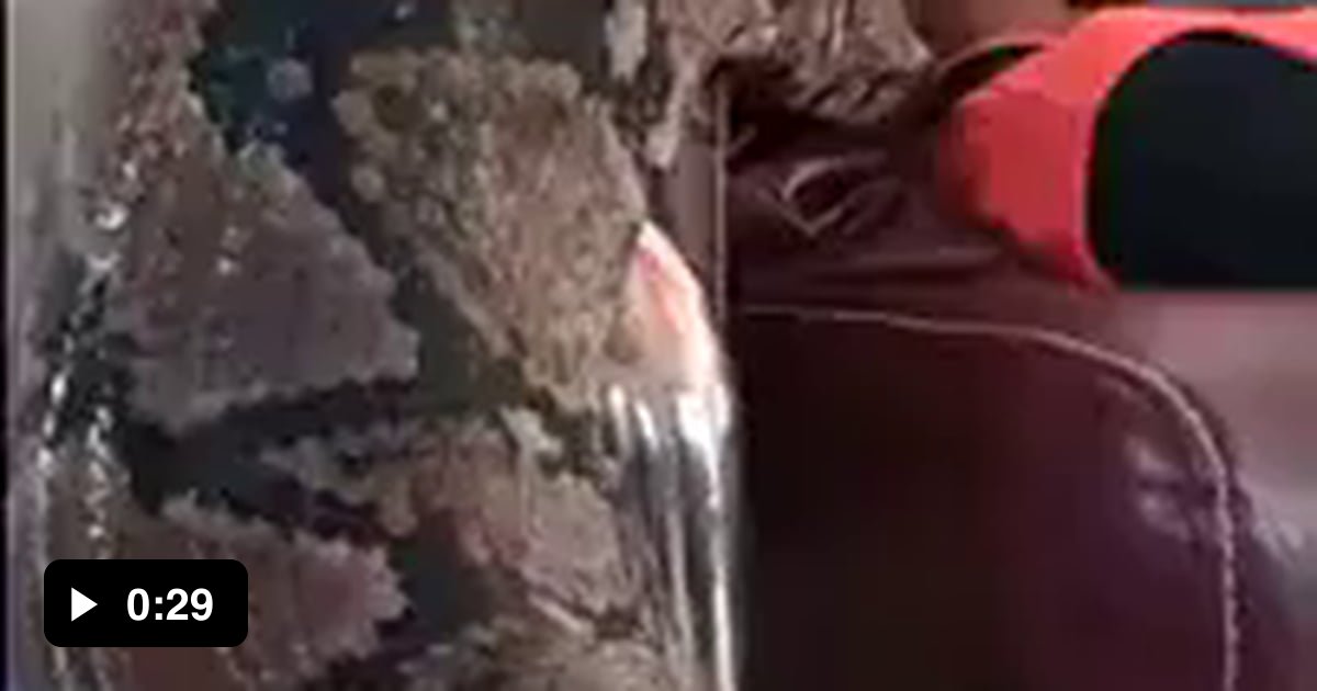 Just trying to relax on the couch... - 9GAG