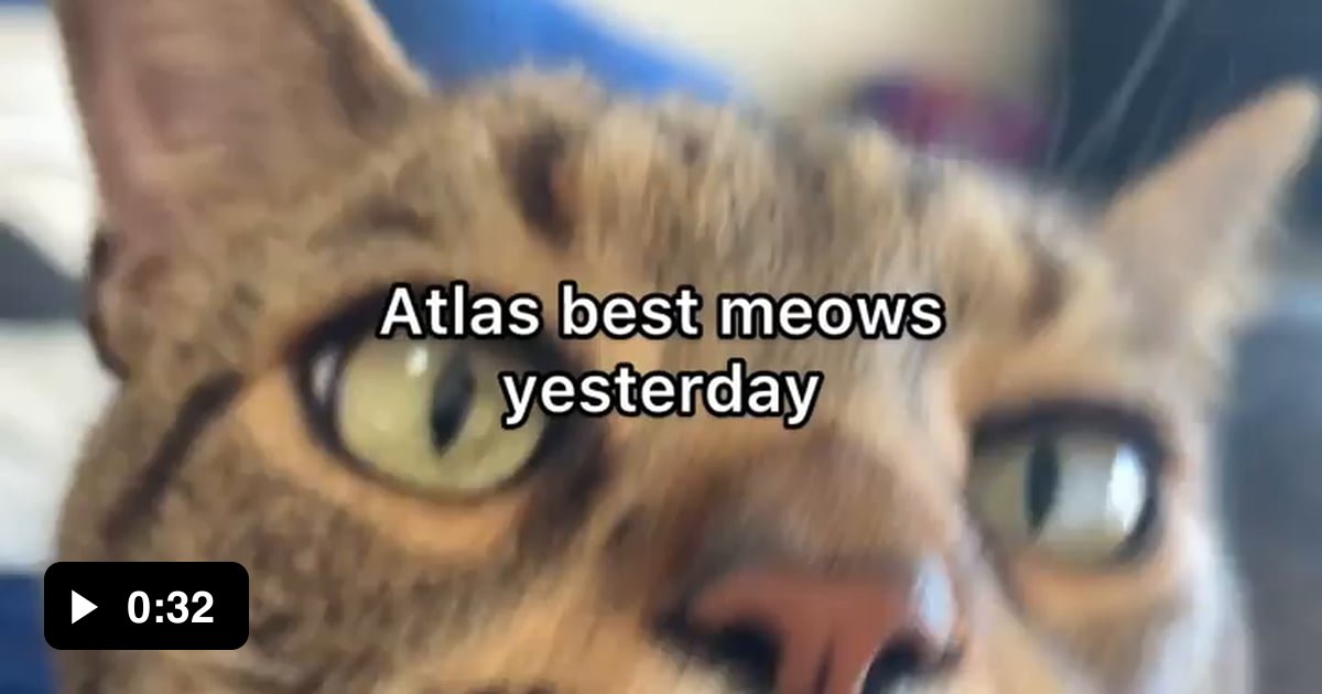 Atlas meows - 9GAG