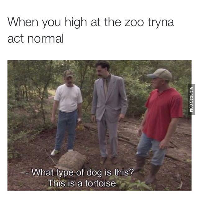 Posting random old shit #3 - 9GAG