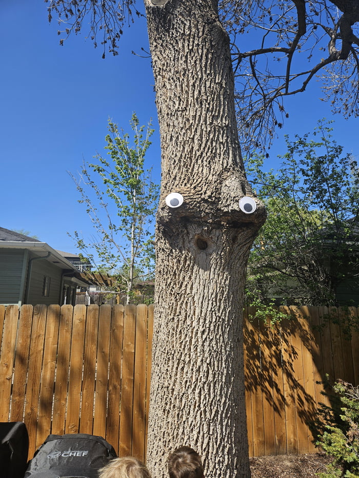 Googly Eye Tree! - 9GAG