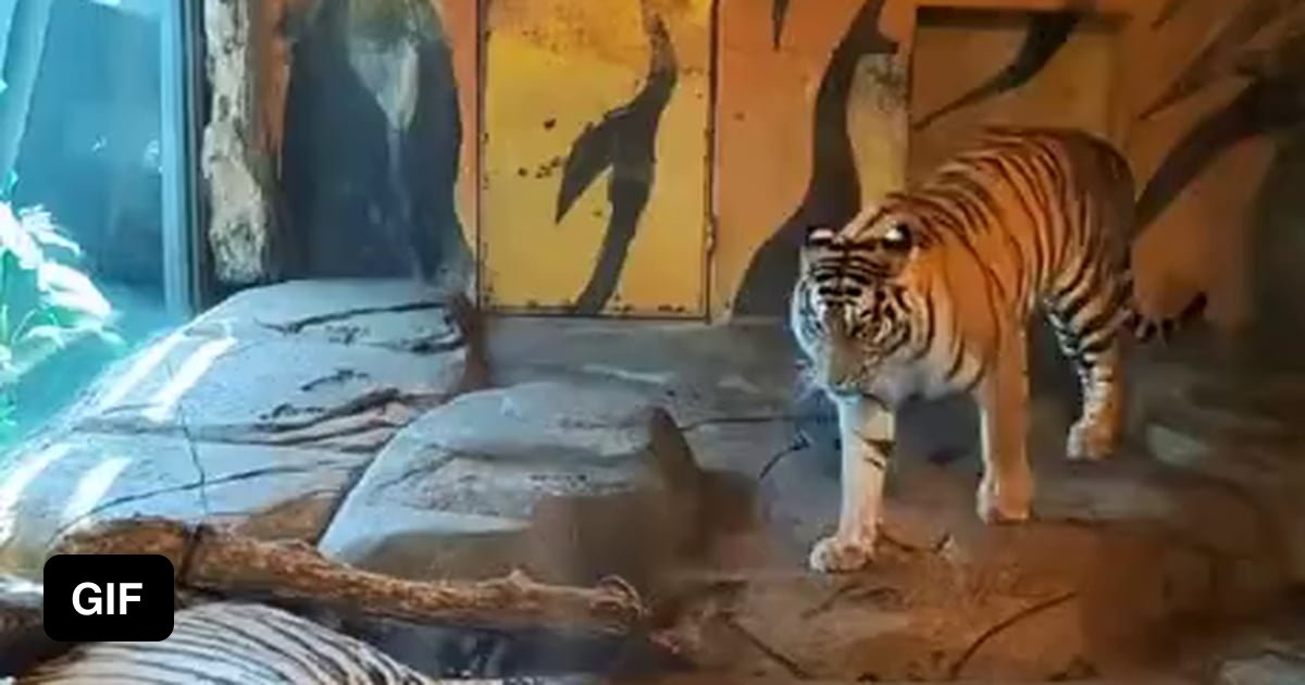 Hey! This is my my side of the bed! - 9GAG