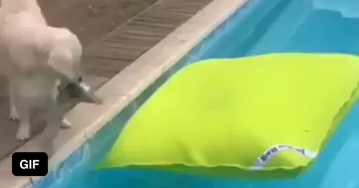Flotation Device - 9GAG