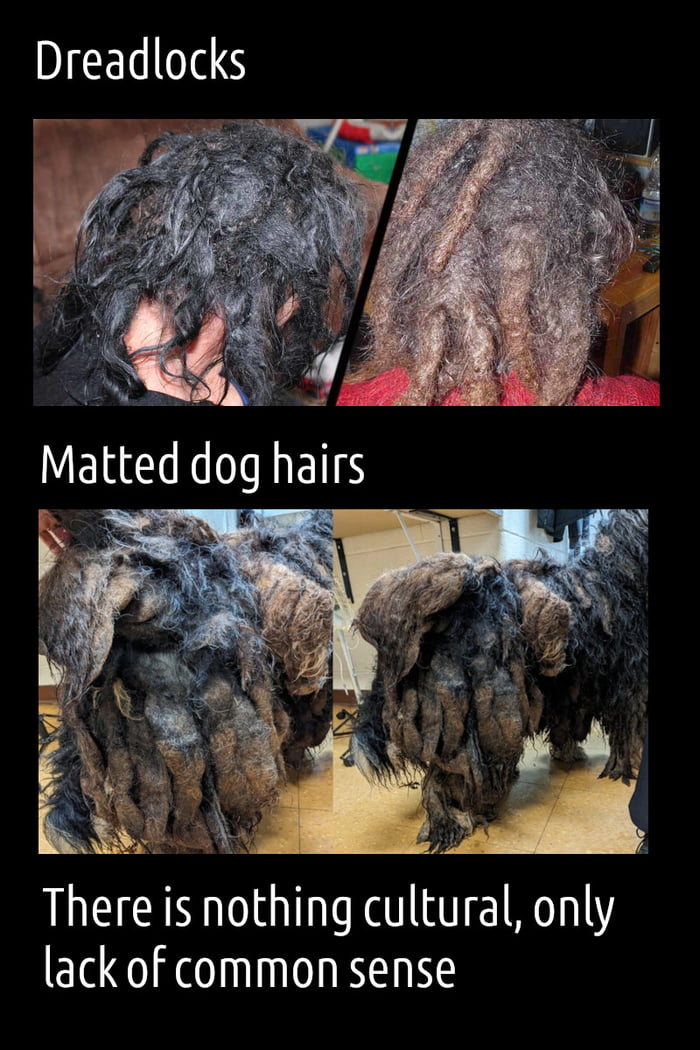 Dreadlocks are just matted hairs - 9GAG