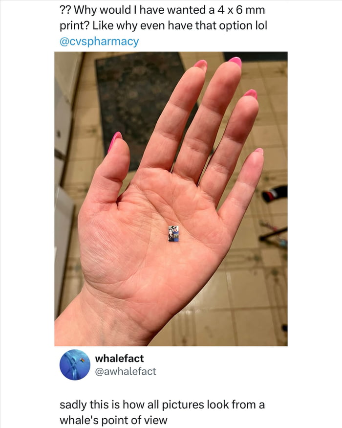 This photo is so small it needs a magnifying glass to be seen - 9GAG