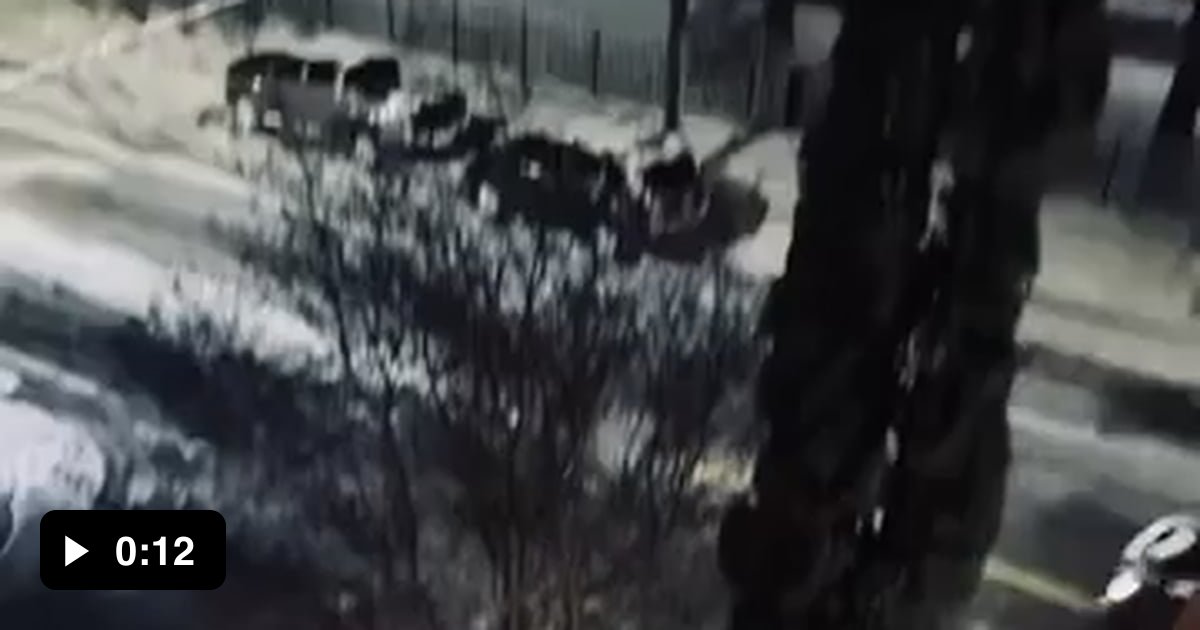 Nailed the parallel park - 9GAG