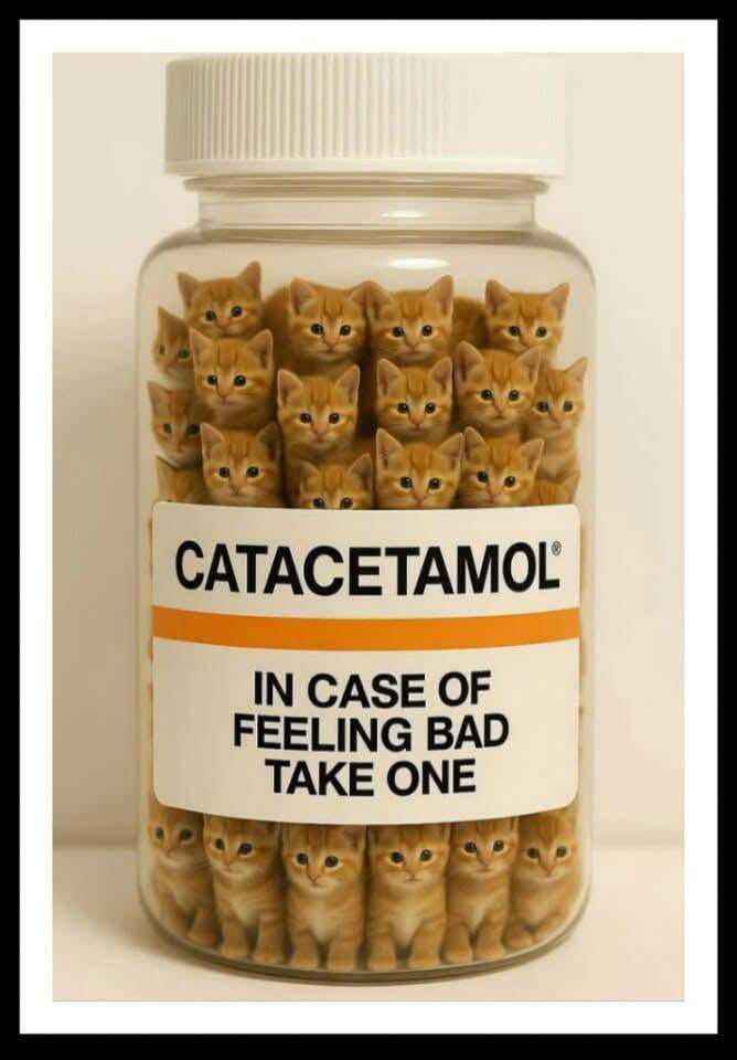 Take one? I'll take them all - 9GAG