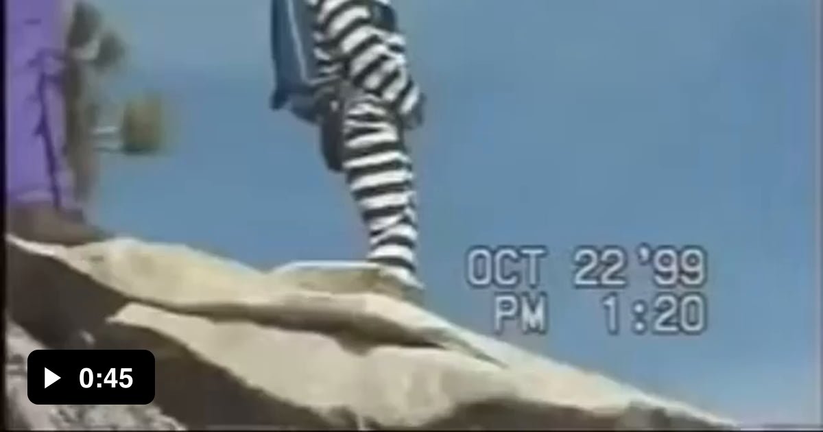 BASE Jumper Jan Davis Fails to Deploy Parachute - 9GAG