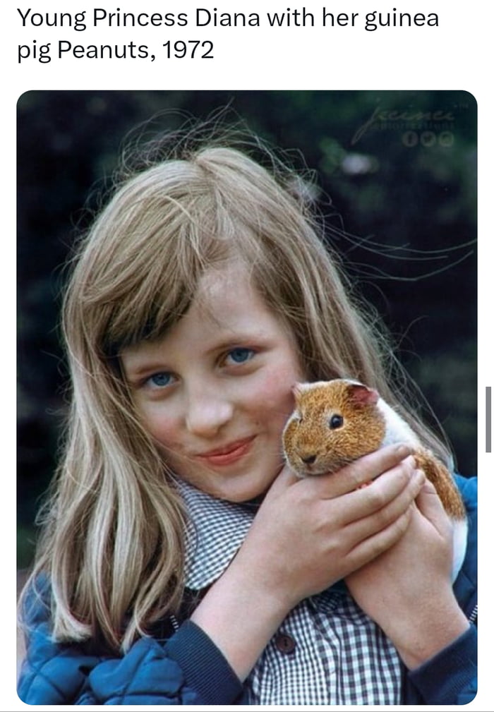 Royal family x spy princess - 9GAG