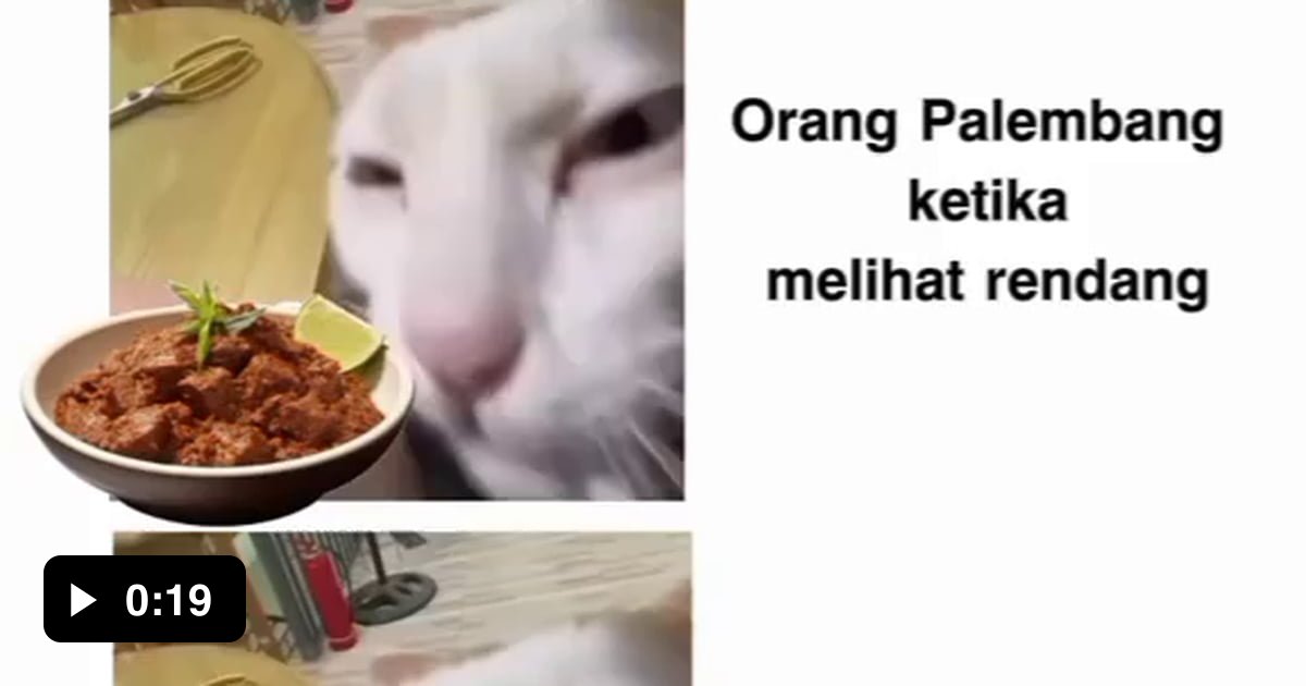 Slander viral - 9GAG