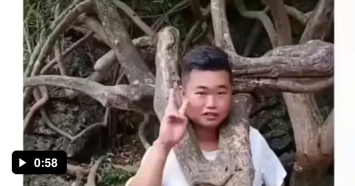 The forest owns you now. - 9GAG