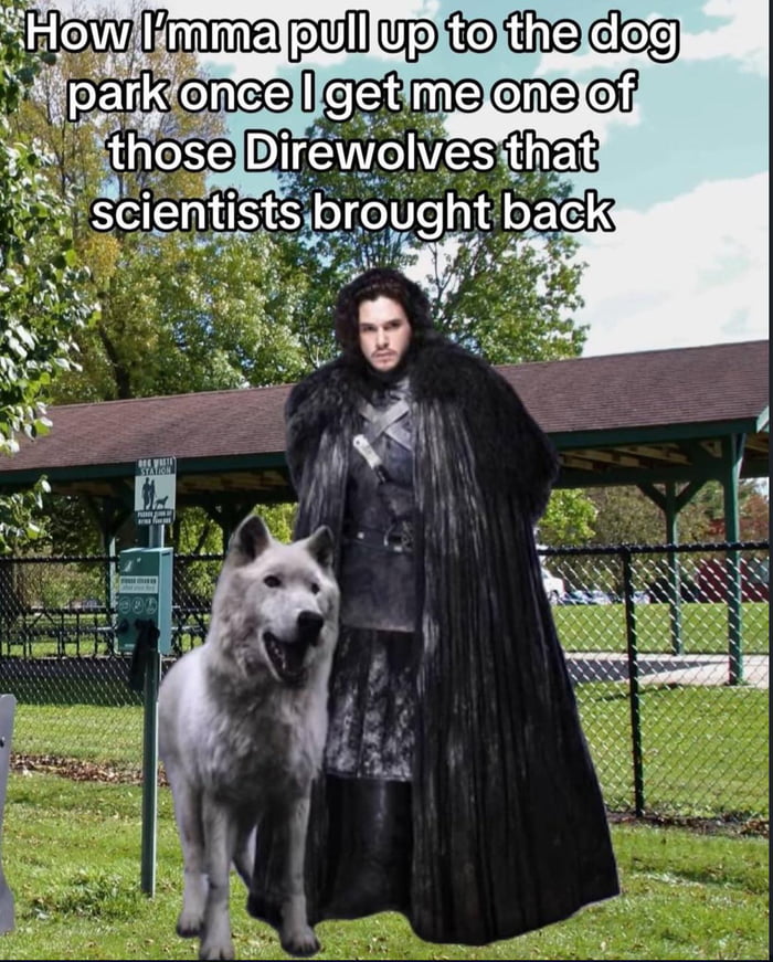 We got dire wolfes before gta 6 - 9GAG
