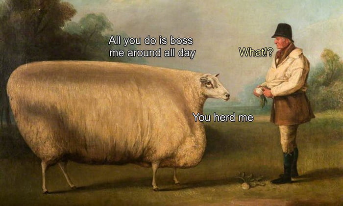 Wonder if the artist has ever seen a sheep. - 9GAG