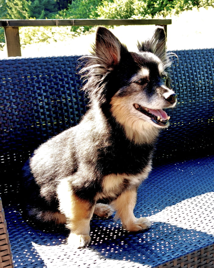 Say hi to Funia, 17yo lady. - 9GAG