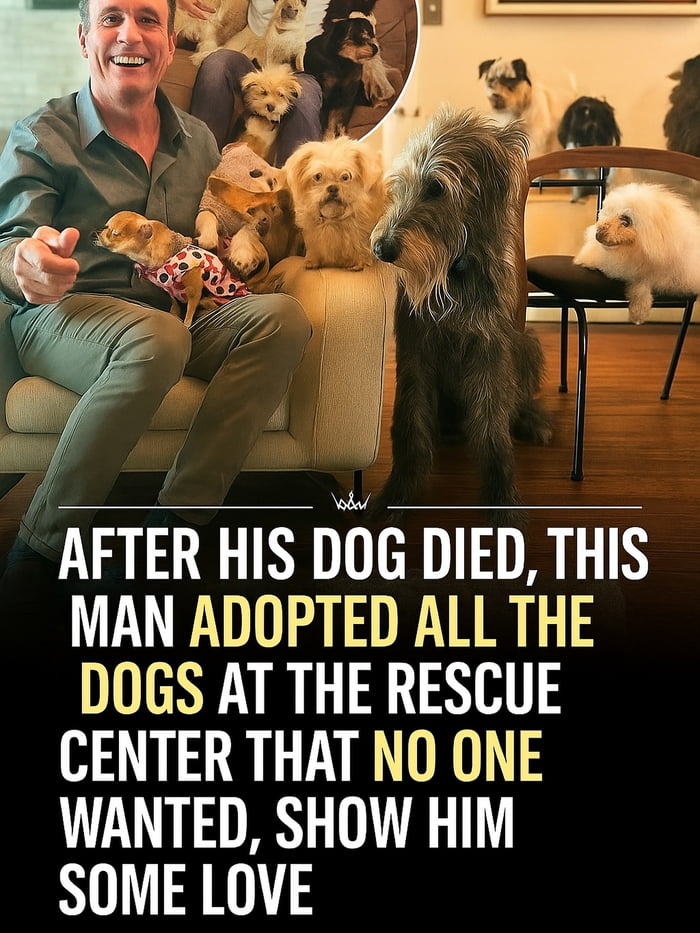 This man adopted all the dogs no one wanted, what a legend - 9GAG