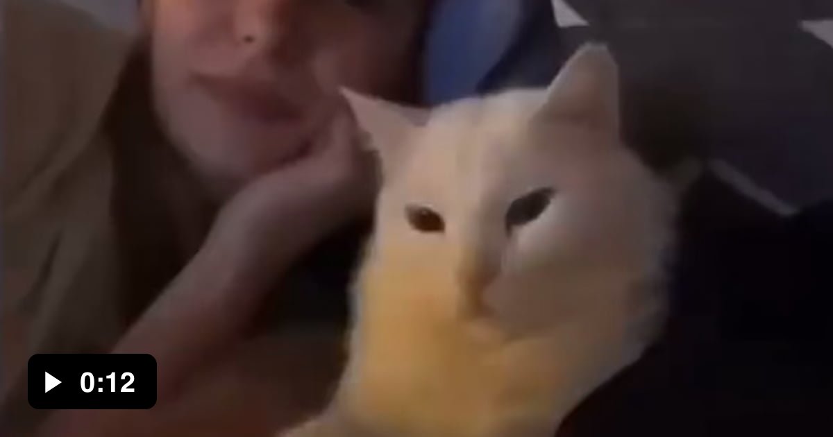 Ugh not now Sharon! Gets dad kissed. Ok I stay - 9GAG