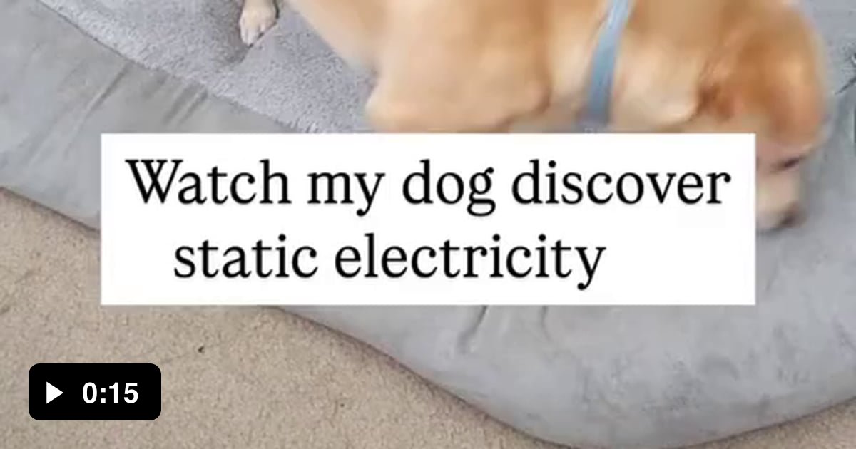 Ow that hurts. I'm gonna do it again - 9GAG